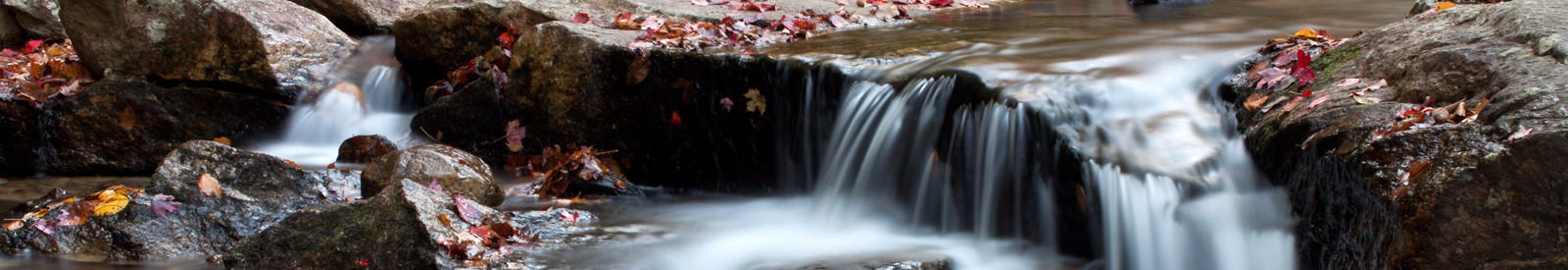 January Daybreak at Charles Rider Park - Jeff Severson Photography